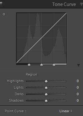 lr curve | Laura Shoe's Lightroom Training Tutorials and Tips