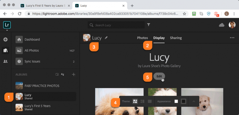 New in Lightroom Web: Format Your Shared Albums and Collections ...