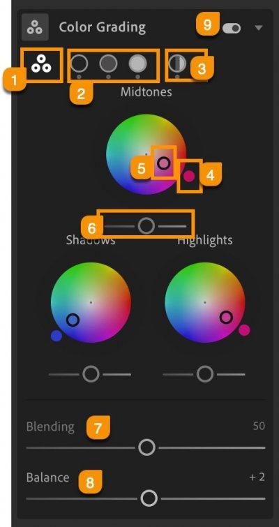 Cloud-Based Lightroom Color Grading Panel | Laura Shoe's Lightroom ...
